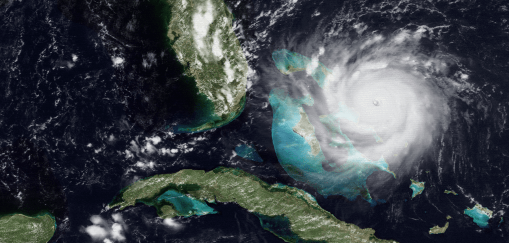 Hurricane Andrew (1992) - Montgomery Botanical Center